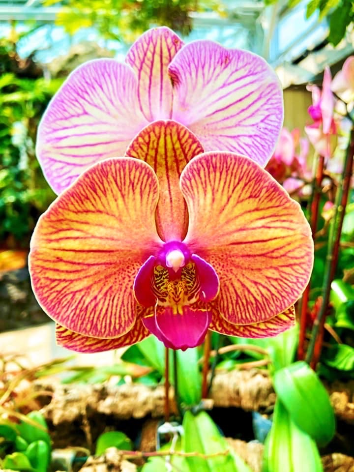 Faces to Names – Any and Everything