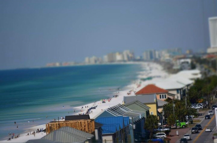 What to Expect… – Any and Everything