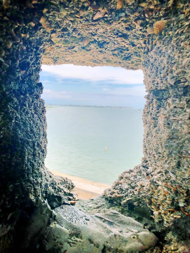 Short Stories – Any and Everything