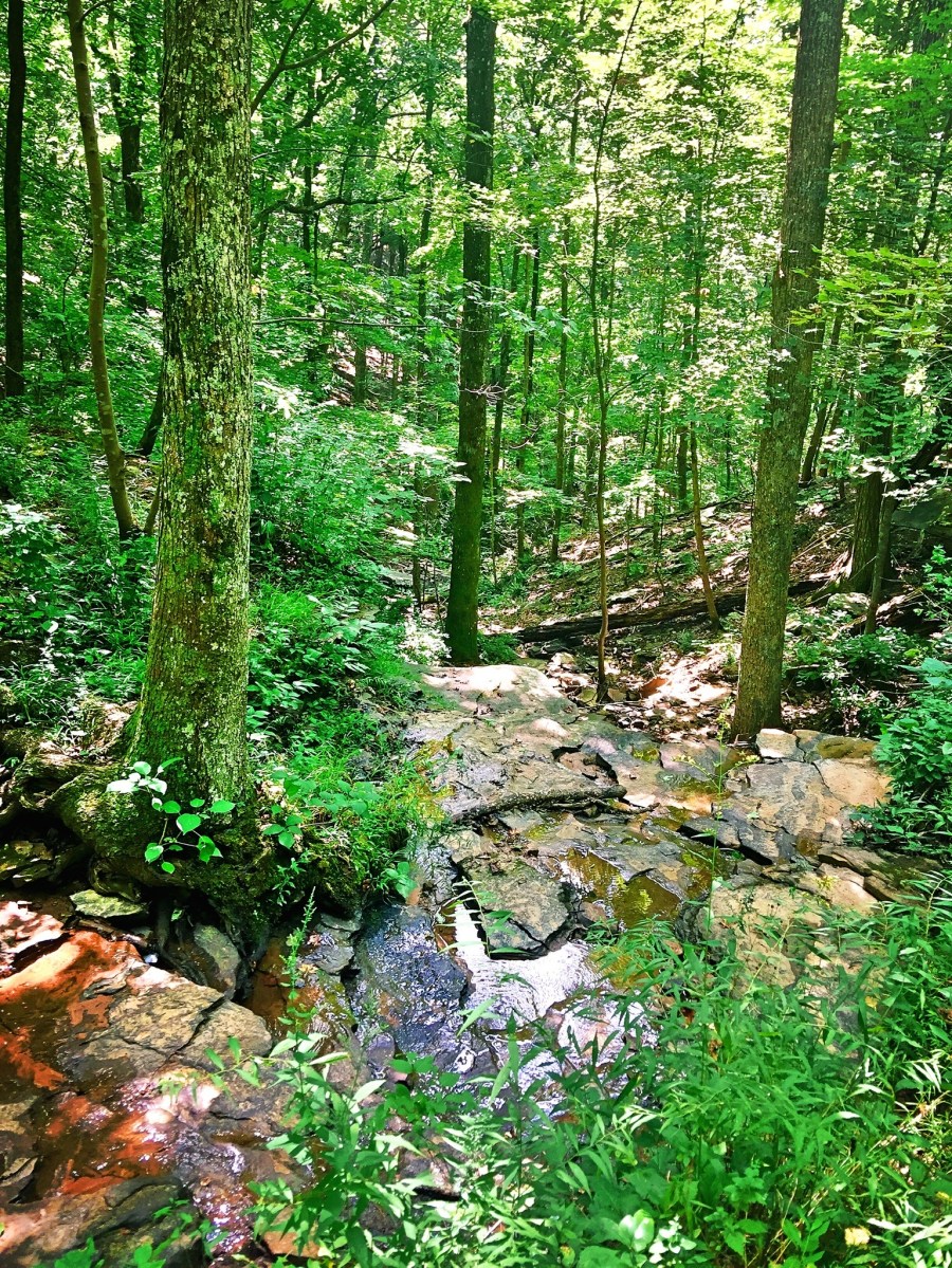 JE 70: Marching Forward – Any and Everything